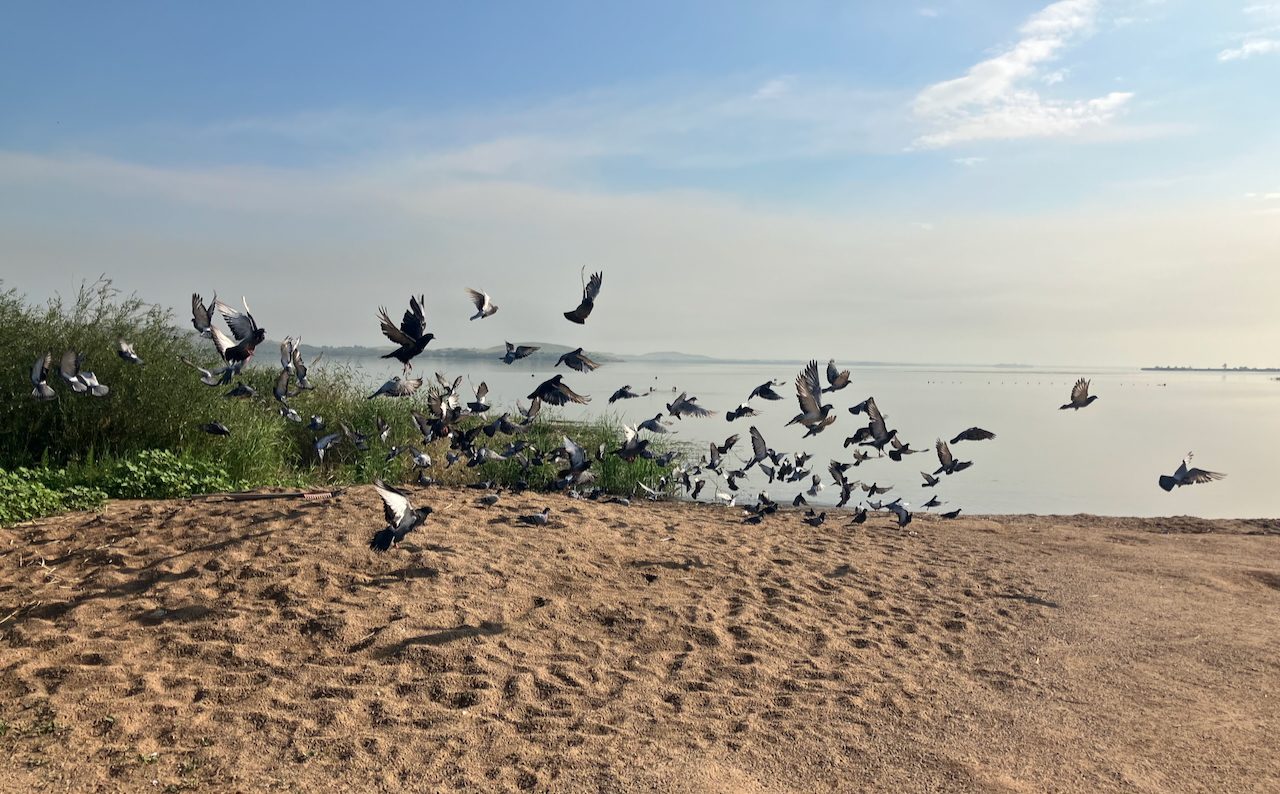 Temirtau - Travel Guide - a Soviet legacy Steel City of Kazakhstan